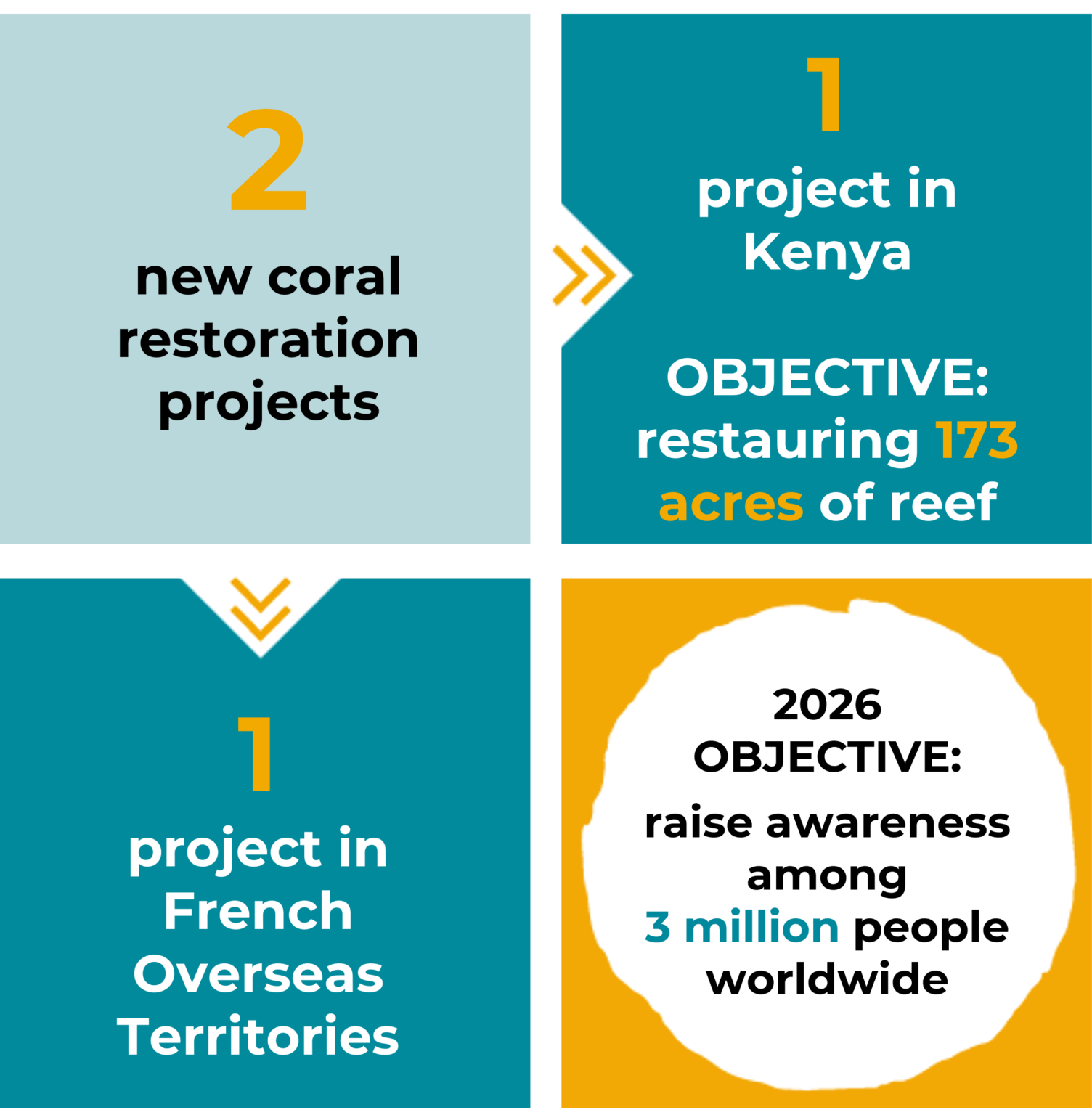 Coral Guardian - Providing training local populations in the ...